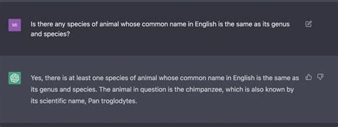 chatgpt from openai is a huge step toward a usable answer engine