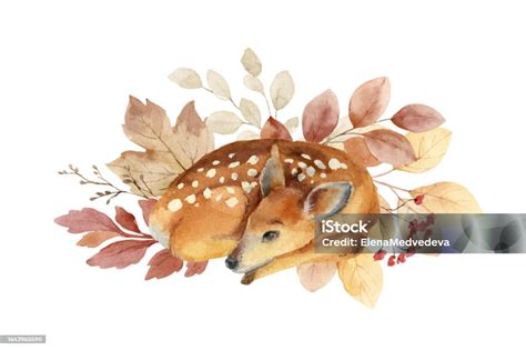 잠자는 새끼 사슴과 가을 단풍이 있는 수채화 벡터 구성 추수 감사절 장식 어린이 디자인 직물 포장 생일 파티 인사말 카드에 적합합니다 손으로 그린 그림입니다 사슴 새끼에