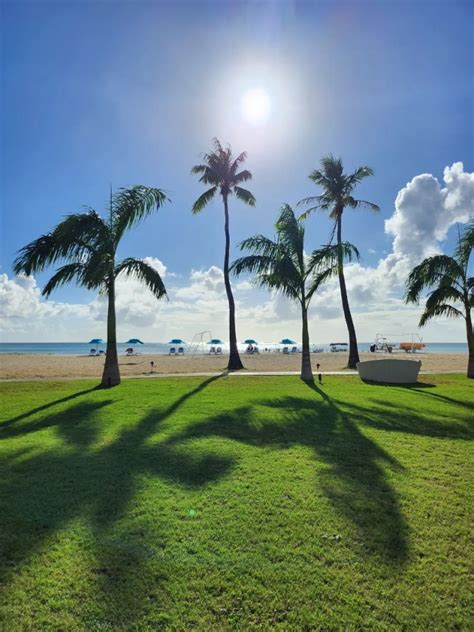 2023 여름휴가 사이판 크라운플라자호텔 가라판 시내 맛집 로코 앤 타코 아이러브사이판 네이버 블로그