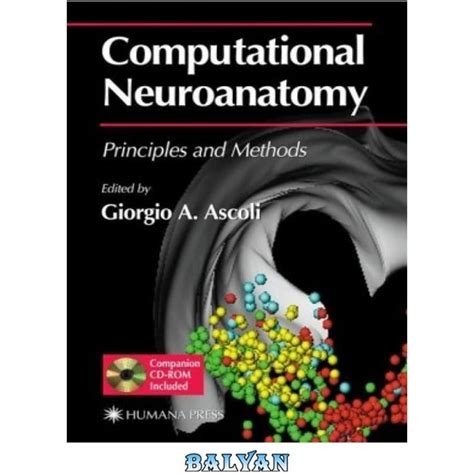 خرید و قیمت دانلود کتاب Computational Neuroanatomy Principles And
