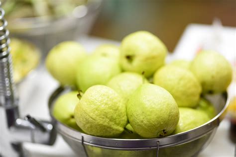Más De 200 Fotos De Guayaba Y Naturaleza Gratis Pixabay