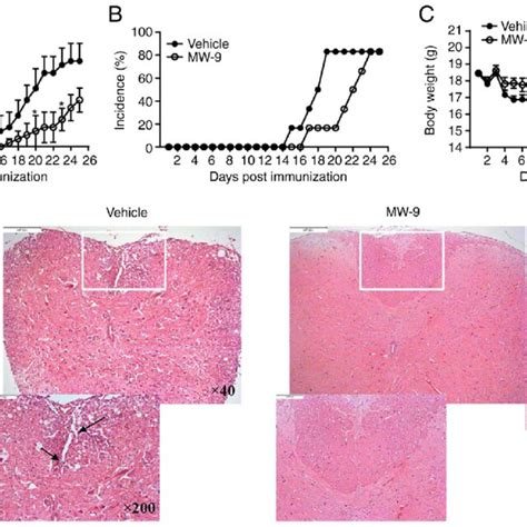 Mw 9 Effects On Development Of Eae In Mog 35 55 Immunized C57bl 6 Download Scientific Diagram