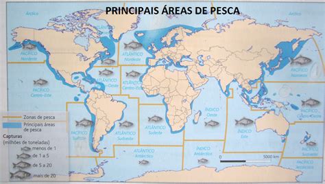 Geografia 9 A Pesca