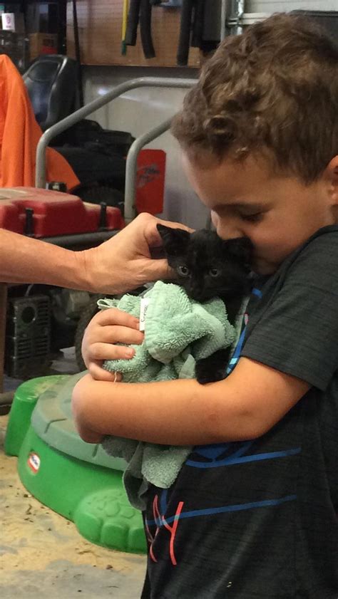 573 Best Step Sister Images On Pholder Steelpanther Light Novels And