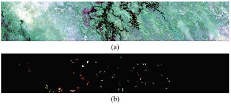Deep Relation Network For Hyperspectral Image Few Shot Classification