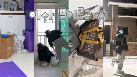 Vlog 여자 둘이 이사 갑니다 🚛3 우당탕탕 고양이 두마리와 함께 10평 새 집 적응하기🏘️ Youtube