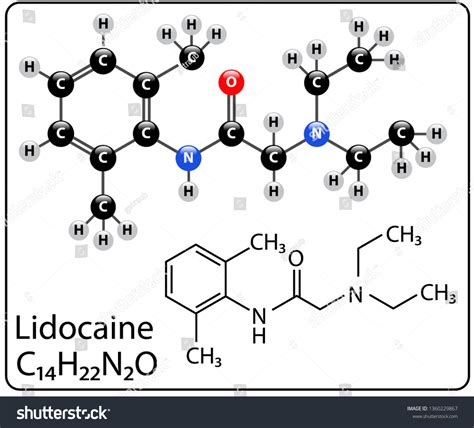 Lidocaine Molecule Structure Stock Vector Royalty Free 1360229867