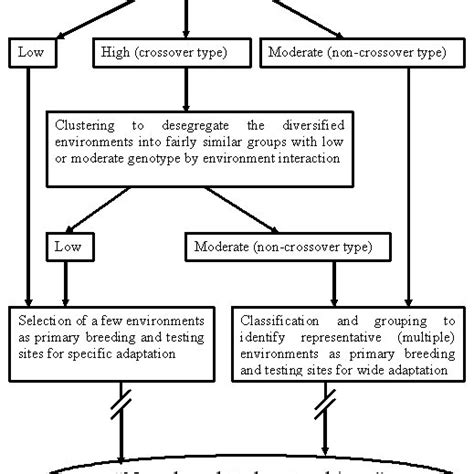 Schematic Presentation Of One Possible Environmental Classification