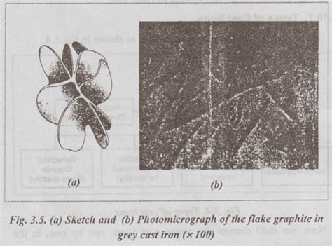 Gray Cast Iron Microstructure
