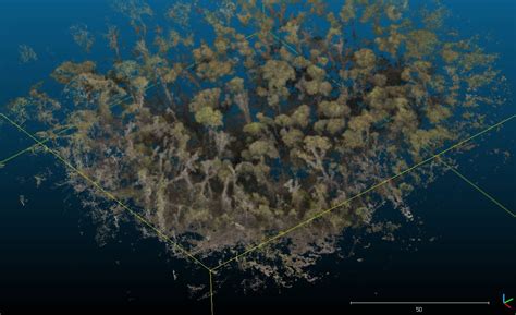 Stripes On Point Cloud Georeferencing Is Out Issue OpenDroneMap WebODM GitHub