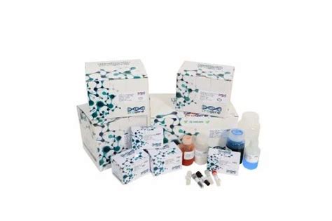 Pro Nuex Mrna Purification Kit At ₹ 6000kit Rna Extraction Kit In