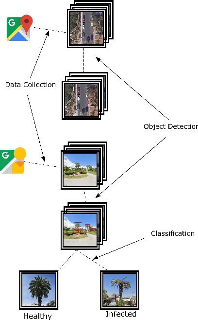 Figure 2 From Automatic Large Scale Detection Of Red Palm Weevil Infestation Using Aerial And