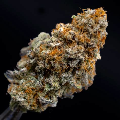 Mac Daddy Upstate Elevator Operators