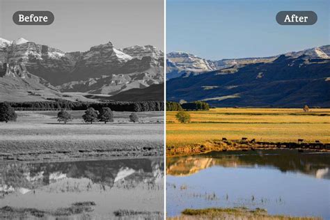 Colorize Black And White Photos Online Free