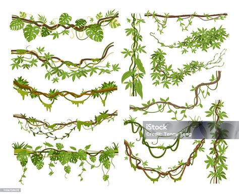 만화 정글 리아나 식물 열대 등반 크리퍼 지점 이끼 꽃 및 정글이있는 이국적인 식물은 벡터 일러스트 레이 션을 설정합니다 열대