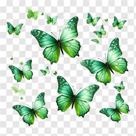 Colección De Mariposas Verdes En Vuelo Png Dibujos Mariposa Verde Recopilación Png Imagen
