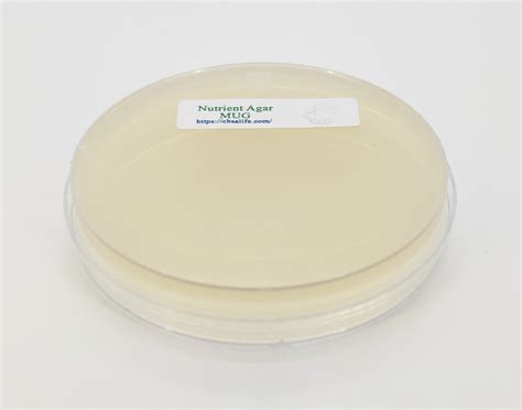 Autoclave Nutrient Agar At Jacob Trundle Blog