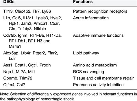 Differentially Expressed Genes And Functional Pathways Download Table