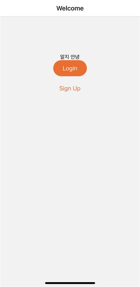 React Native 삽질기 4 Ui Library Global Fonts 적용하기