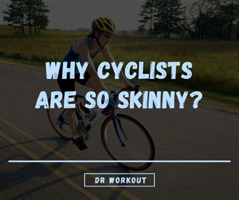 Guide To Macrocycle Mesocycle And Microcycle Detailed Examples For