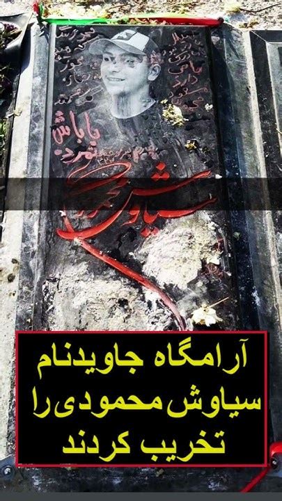 برای سیاوش محمودی از که نشانت را بجویم؟ مادرت می‌گفت و چشمِ آسمان را