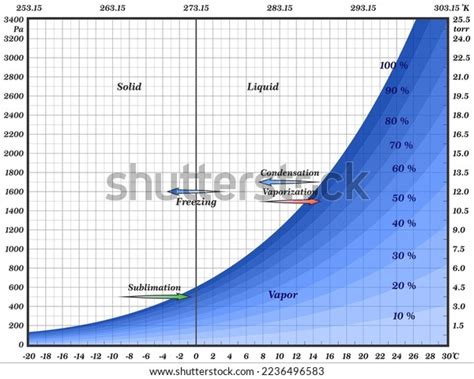 Saturated Water Vapor Pressure Curve Marked Stock Vector Royalty Free