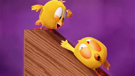 Wheres Chicky Vertigo A Xilam Series Xilam Tv Youtube