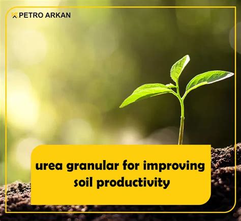 Prill Urea Vs Granular Urea Main Differences