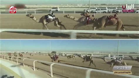 الشوط 16 قصايد لـ هادي سالم محمد الفهيده المري 61184 ، السباق