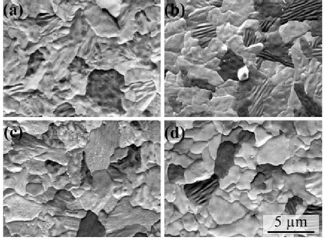 Sem Surface Microstructures Of Exp 3 A 20 Ma Cm 2 And 024 Mol L 1 Of