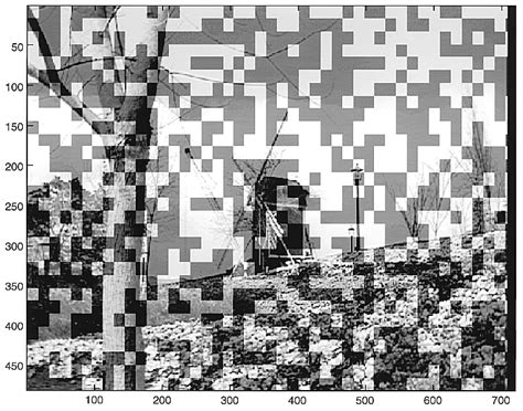 Flowergarden Image With Mixed Fieldframe Mode Macroblocks Frame Mode