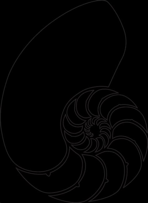 Nautilus Shell Outline