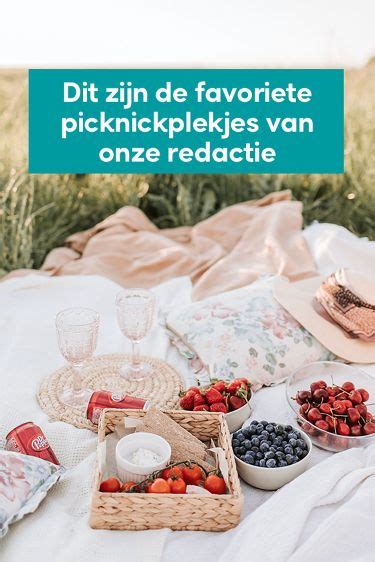 Hotspots Dit Zijn De Favoriete Picknickplekjes Van Onze Redactie Flair