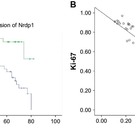 A Kaplan Meier Survival Curves For Hcc Patients Patients Show A