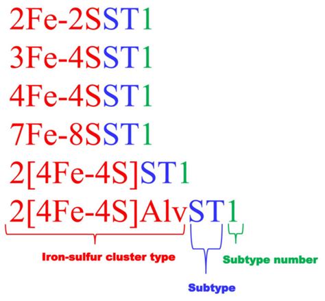 Diversification Of Ferredoxins Across Living Organisms Pmc