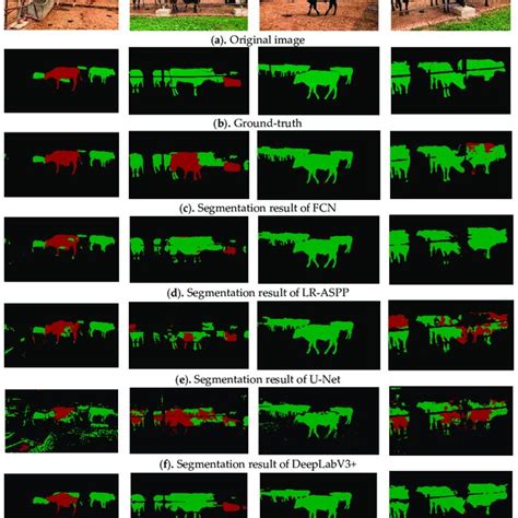 Original Image Segmentation Display Download Scientific Diagram