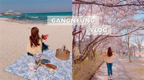 Vlog 강릉 당일치기 여행 브이로그강문해변롱블랙피크닉 세트 대여벚꽃놀이뉴욕커피로스터 Youtube