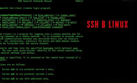 Как включить Ssh на Astra Linux подробный гайд