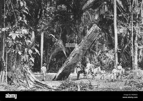 Español Monolito De Quiriguá Sin Restaurar 1890 1890 64