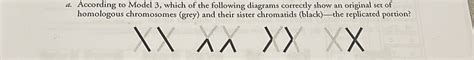 Solved According To Model 3 Which Of The Following Diagrams Correctly Show An Original Set Of