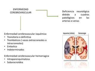Enfermedad Cerebrovascular Pptx