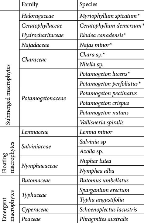 List Of Macrophytes Recorded In Lake Sapanca The Species Indicated