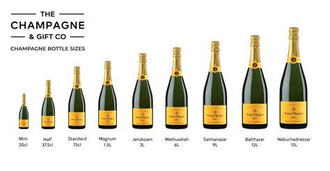 Balthazar Bottle Size Chart Wine Bottle Dimension Chart Zljp