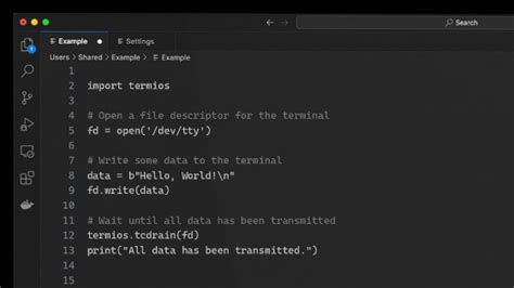 basic example of termios in python