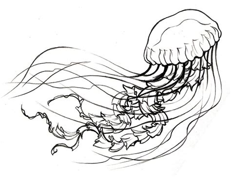 Coloring Pages Of Realistic Jellyfish Coloring Earth