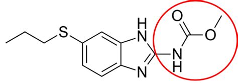 Difference Between Amide And Ester