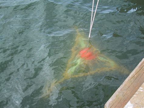 Other Structures Lic Engineering