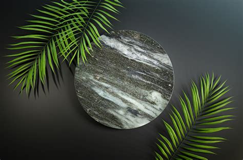 어두운 배경에 야자수 잎이 있는 대리석 연단을 둘러싸고 있습니다 화장품 모형의 최고 보기 3d 렌더 원형에 대한 스톡 사진 및 기타 이미지 Istock