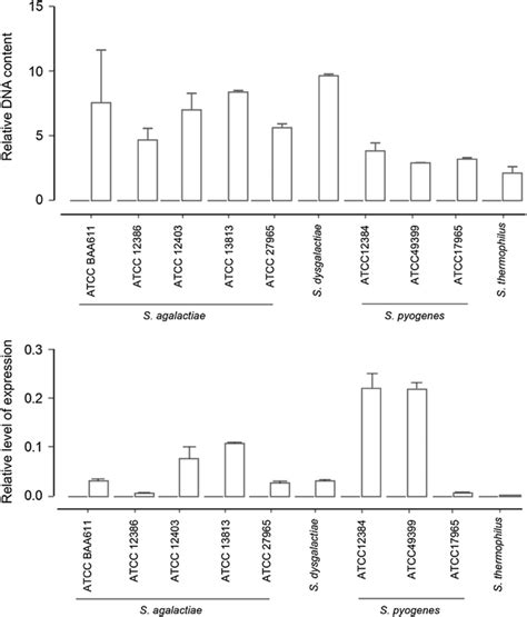 The Expression Of Inserted Genes In Pdre In Streptococcus Plasmid Pdre Download Scientific