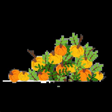 刺梨灌木果子插画 花瓣网